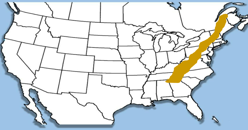 Gimkit - live learning game show